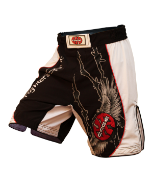 Fighters Spirit MMA - X-Train & MMA - Boxxerworld